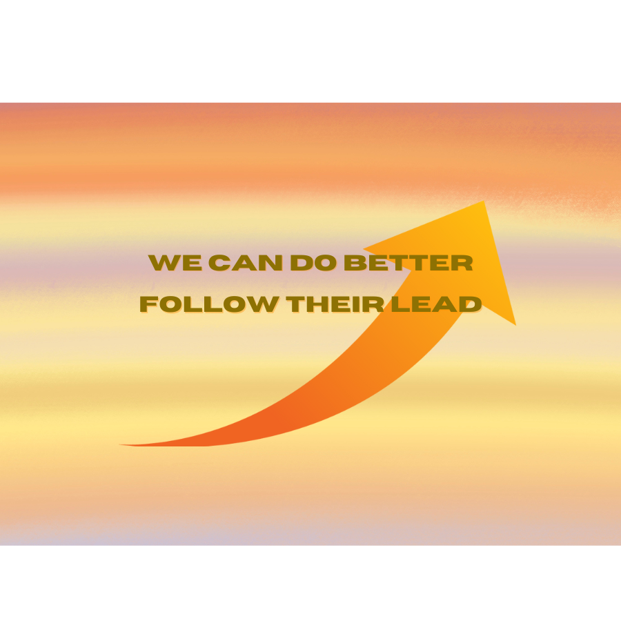 WE CAN DO BETTER - FOLLOW THEIR LEAD - Suite Spotte